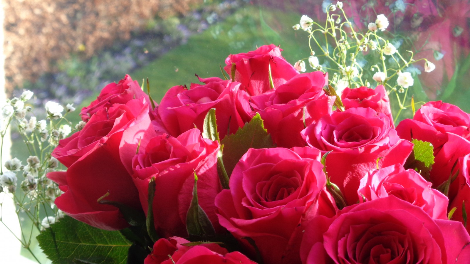 To Absent Friends | Festival Events 2017 | Shared Remembrance: To ...