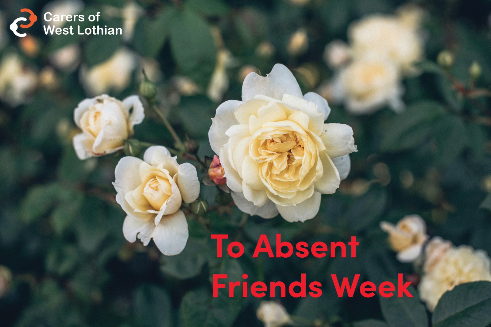 To Absent Friends | Festival 2024 | COWL Remembers